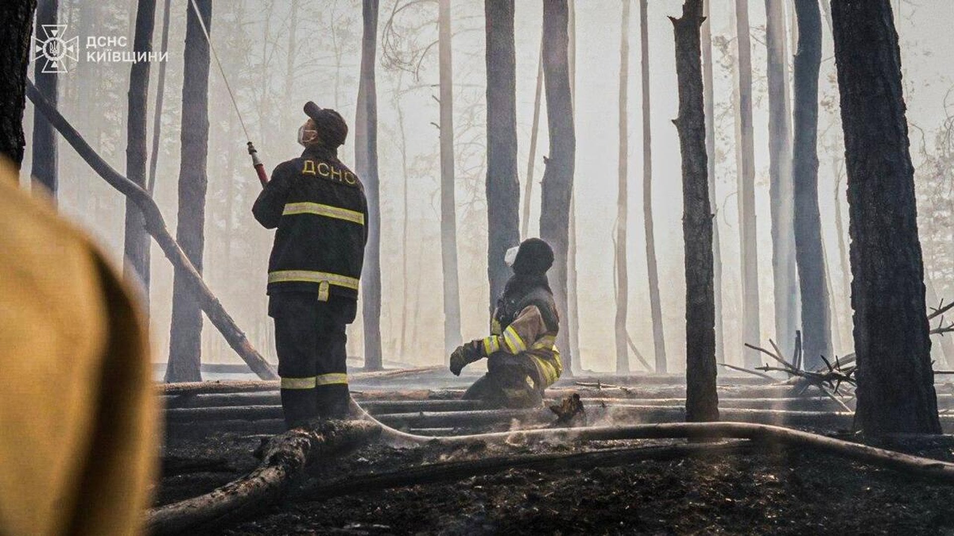 Heranführen von Verstärkungen: Feuerpause in der Ukraine wird zur ...
