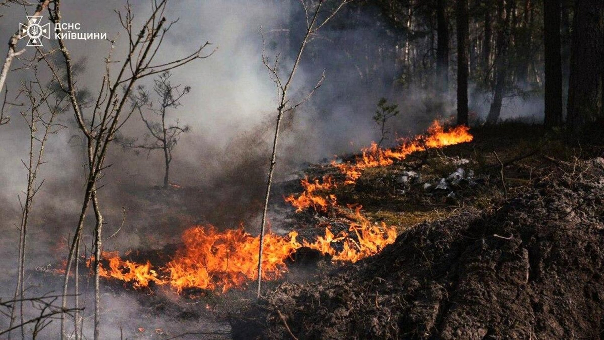Heranführen von Verstärkungen: Feuerpause in der Ukraine wird zur ...